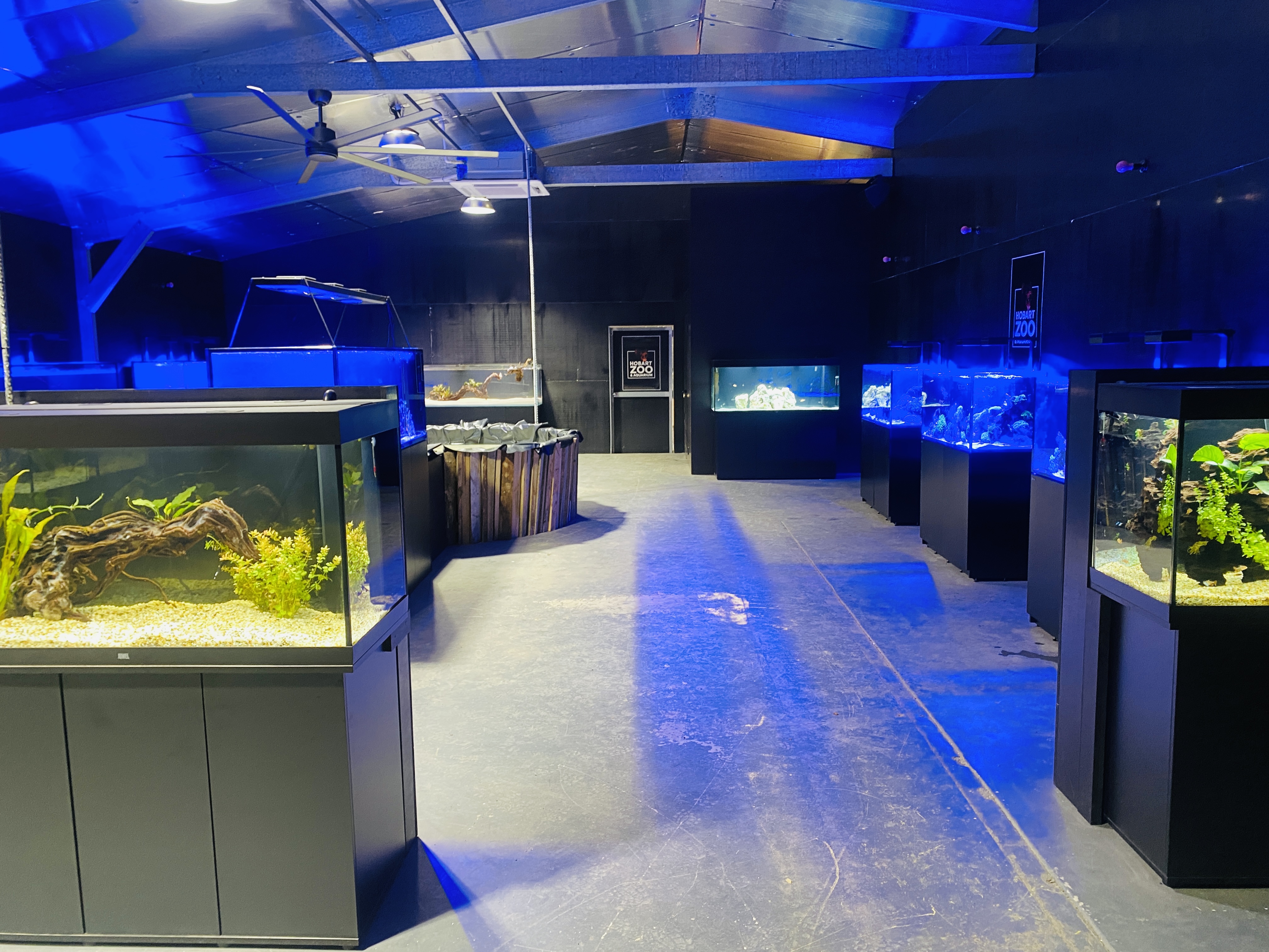 Hobart Zoo & Aquarium | Aquarium Experience in Hobart