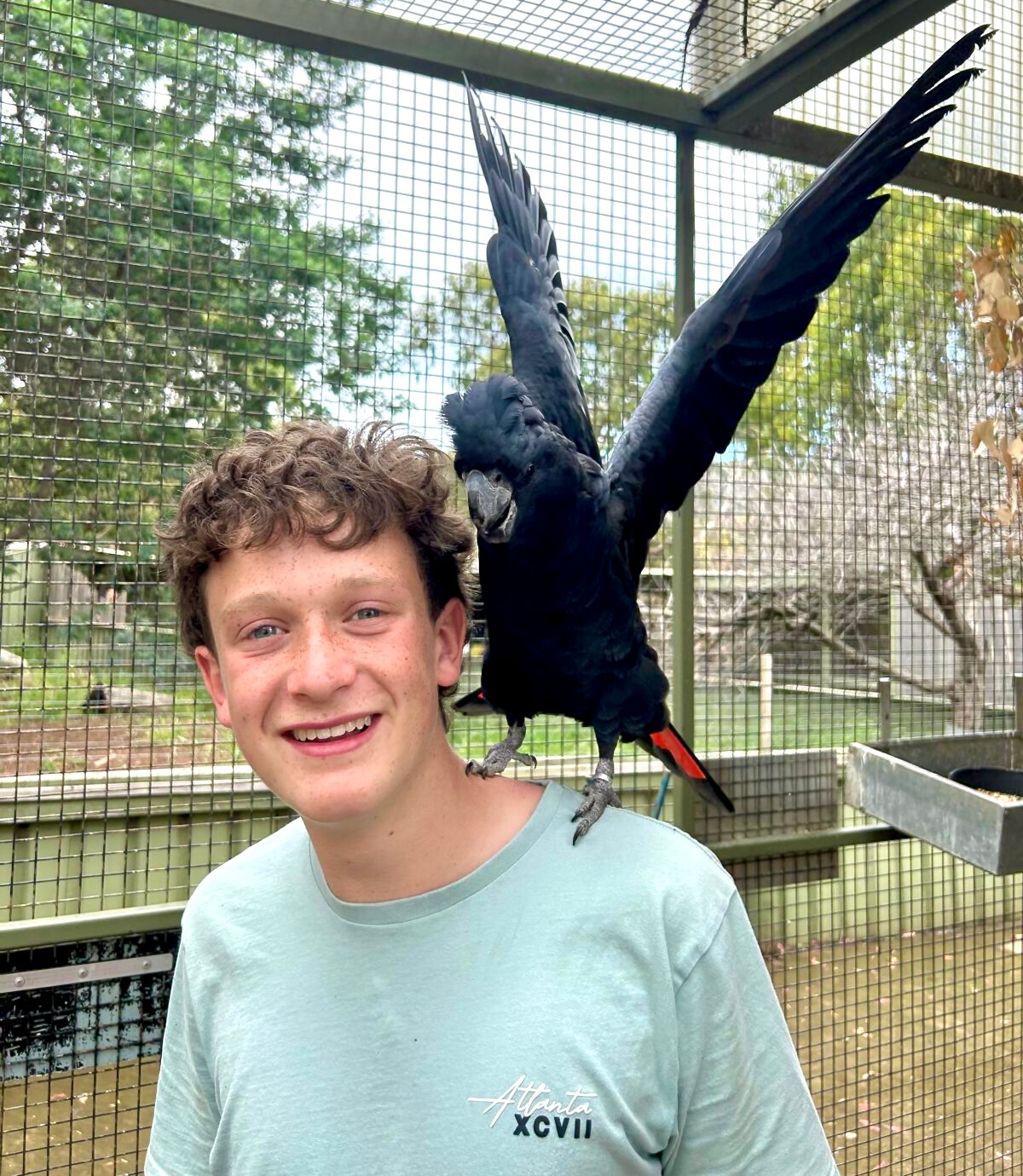 Aussie Legends | Meet Native Icons | Hobart Zoo & Aquarium