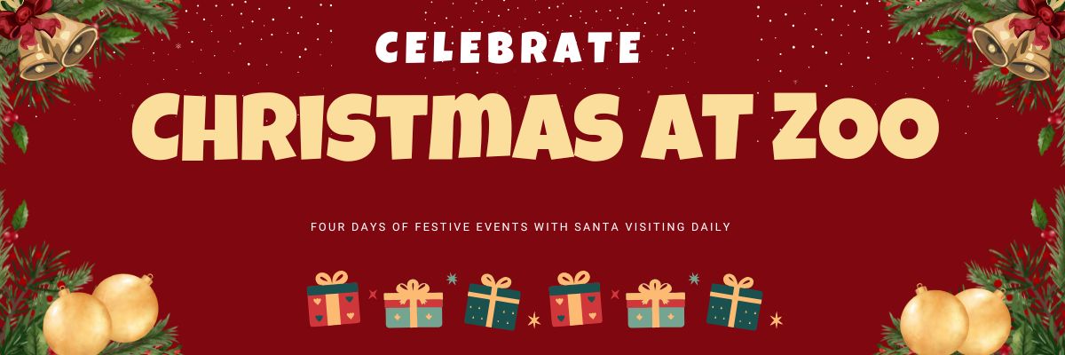 Christmas at the Zoo 2025 | Hobart Zoo & Aquarium
